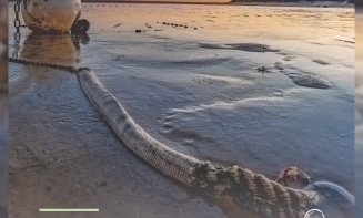 Home | Cape Cod Commission